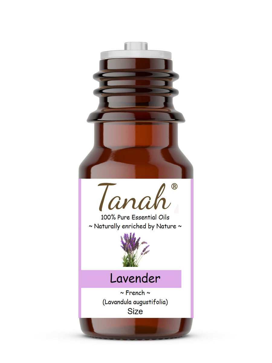 Tanah Essential Oil Company - Lavender French Natural Essential Oil ...